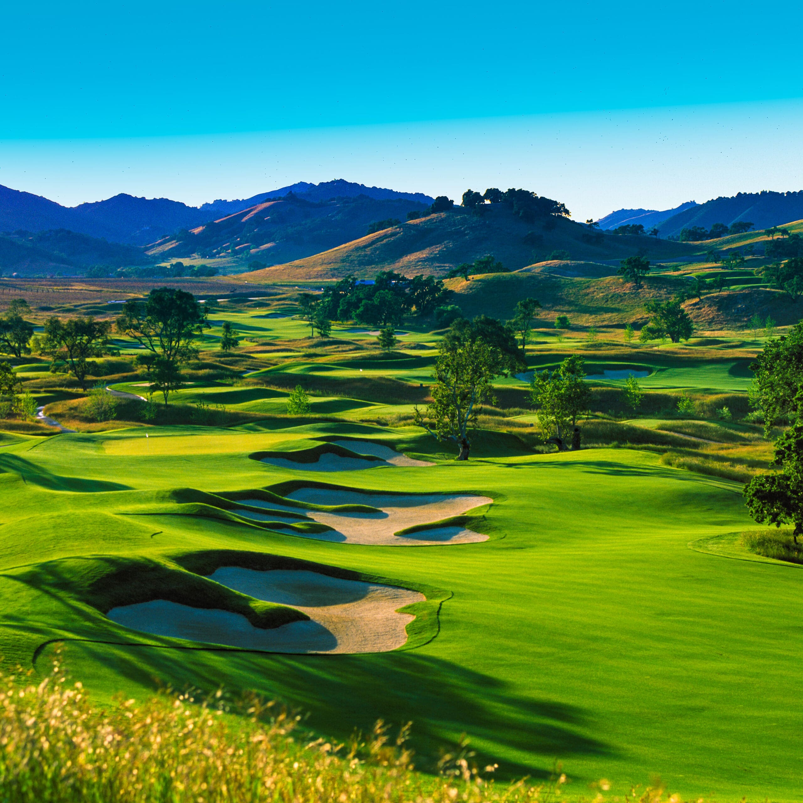Cordevalle - Golf As Life | Golf Photography & Artwork by Mike Klemme