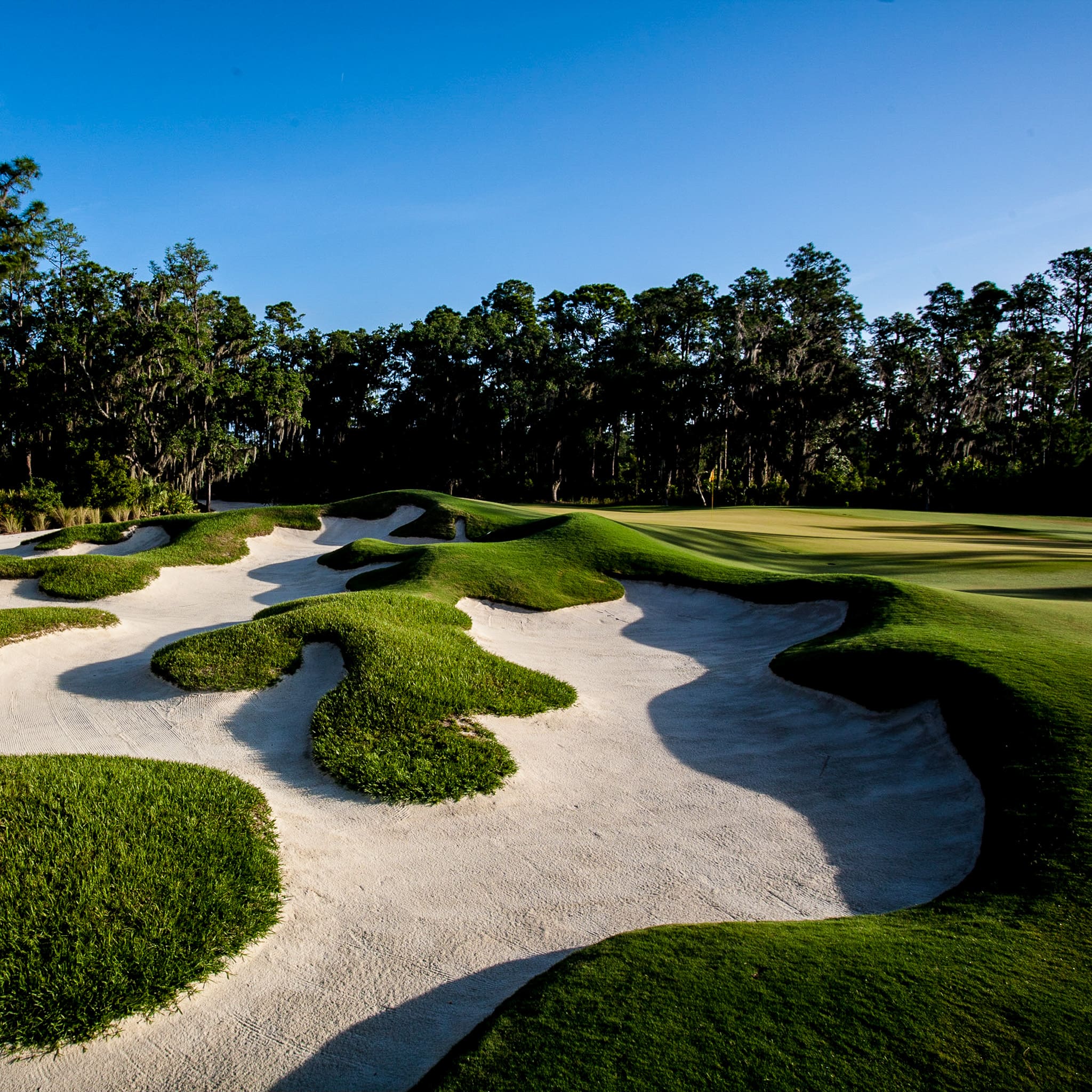 The Concession Golf Club - Golf As Life | Golf Photography & Artwork by ...