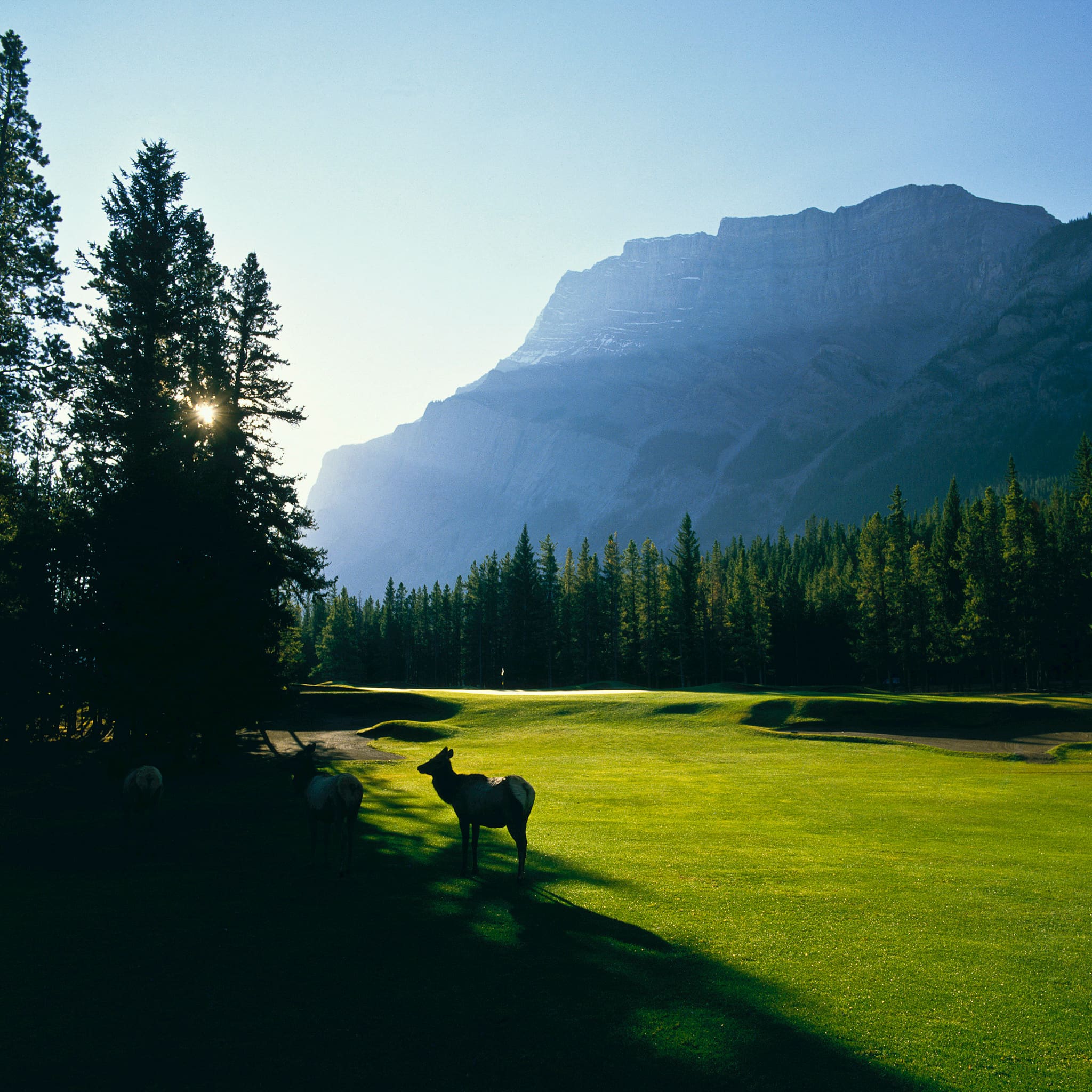 Banff Springs Golf Club - Golf As Life | Golf Photography & Artwork by ...