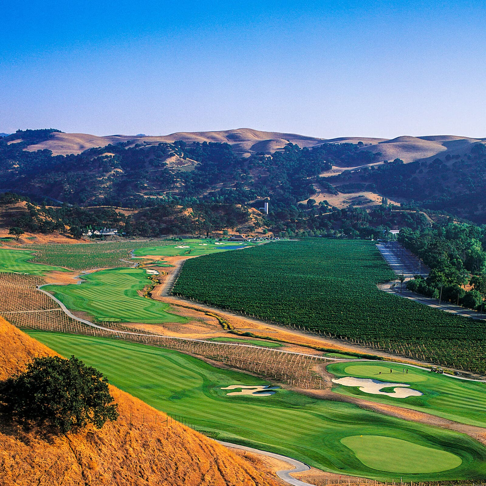 Wente Vineyards Golf Club - Golf As Life | Golf Photography & Artwork ...